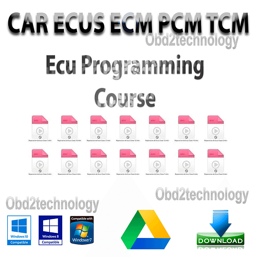 Car ECU Ecus Auto Repair Course Audio And Video Workshop Spanish ...